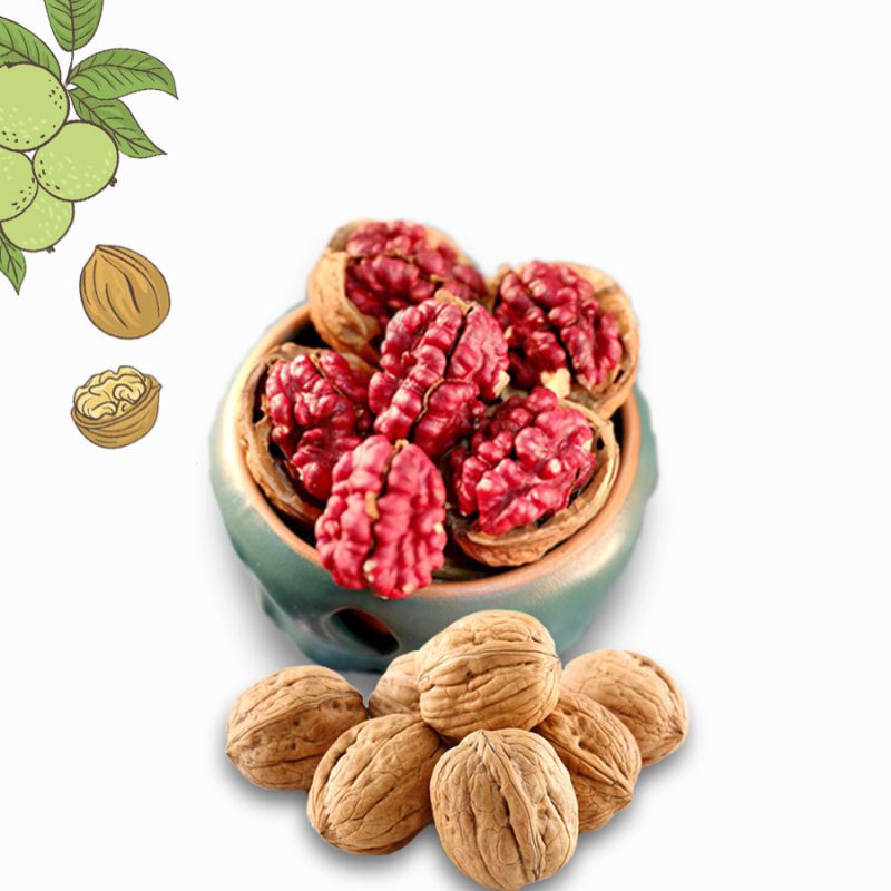 Hạt Óc Chó Đỏ - Bách Liên